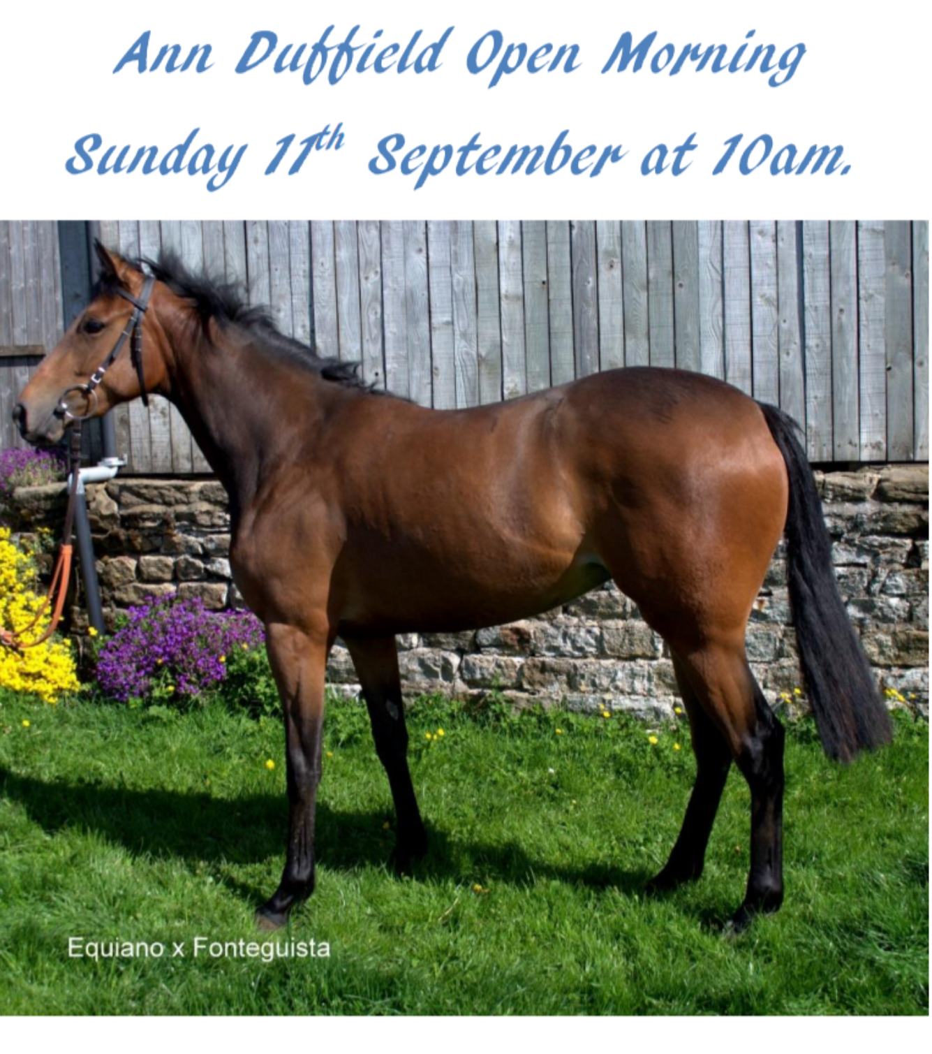 Sunday 11th September, Ann Duffield Open Morning | Blog